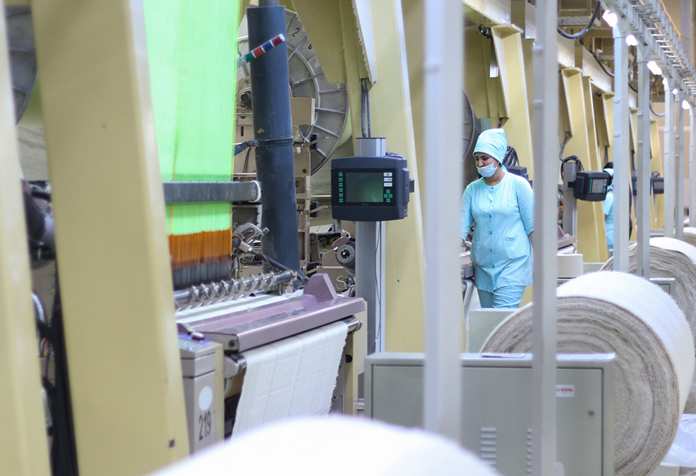 Camel and Goat Wool Processing Plants to Appear in Turkmenistan | Economy