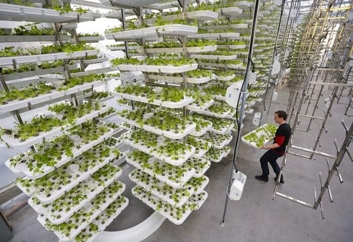 Mechanization and New Solutions in Agriculture | Commentary