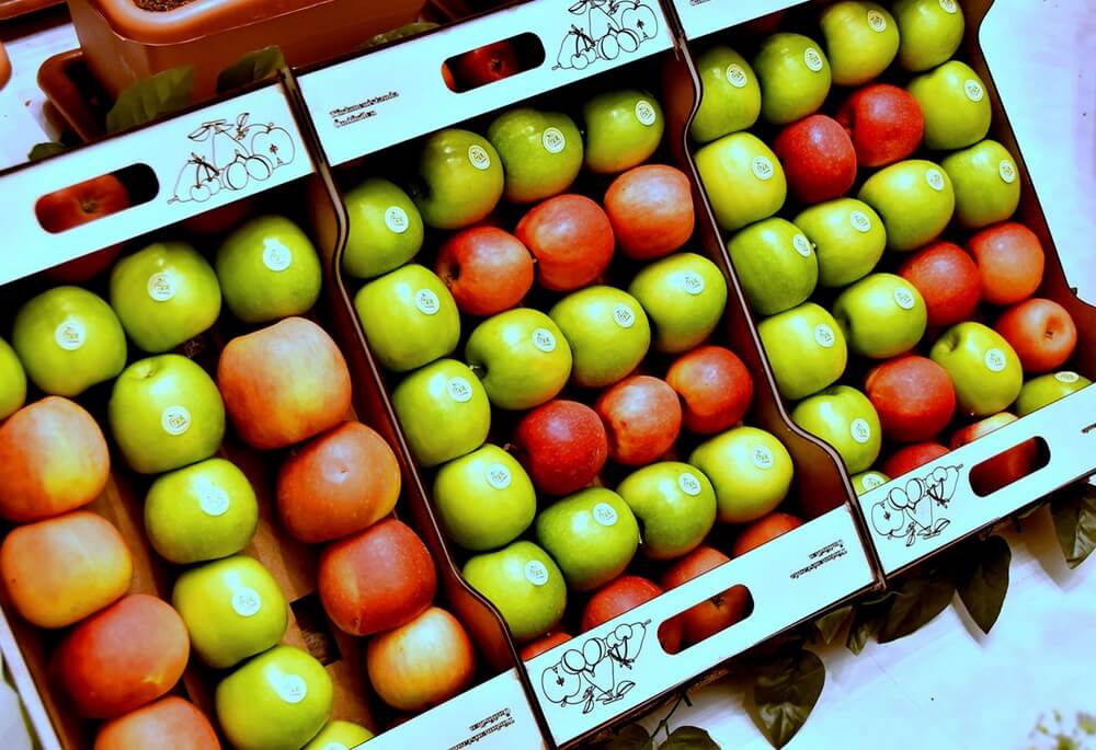 Turkmen Company Harvests Nearly 500 Tons of Apples | Made in Turkmenistan